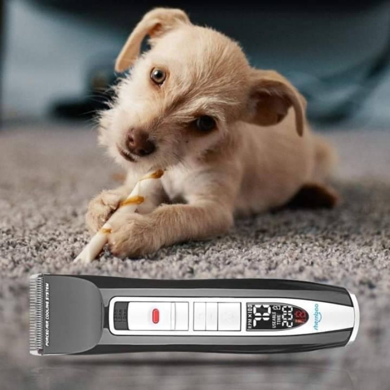 Shernbao Clipper รุ่น PGC-660 | Shopee Thailand