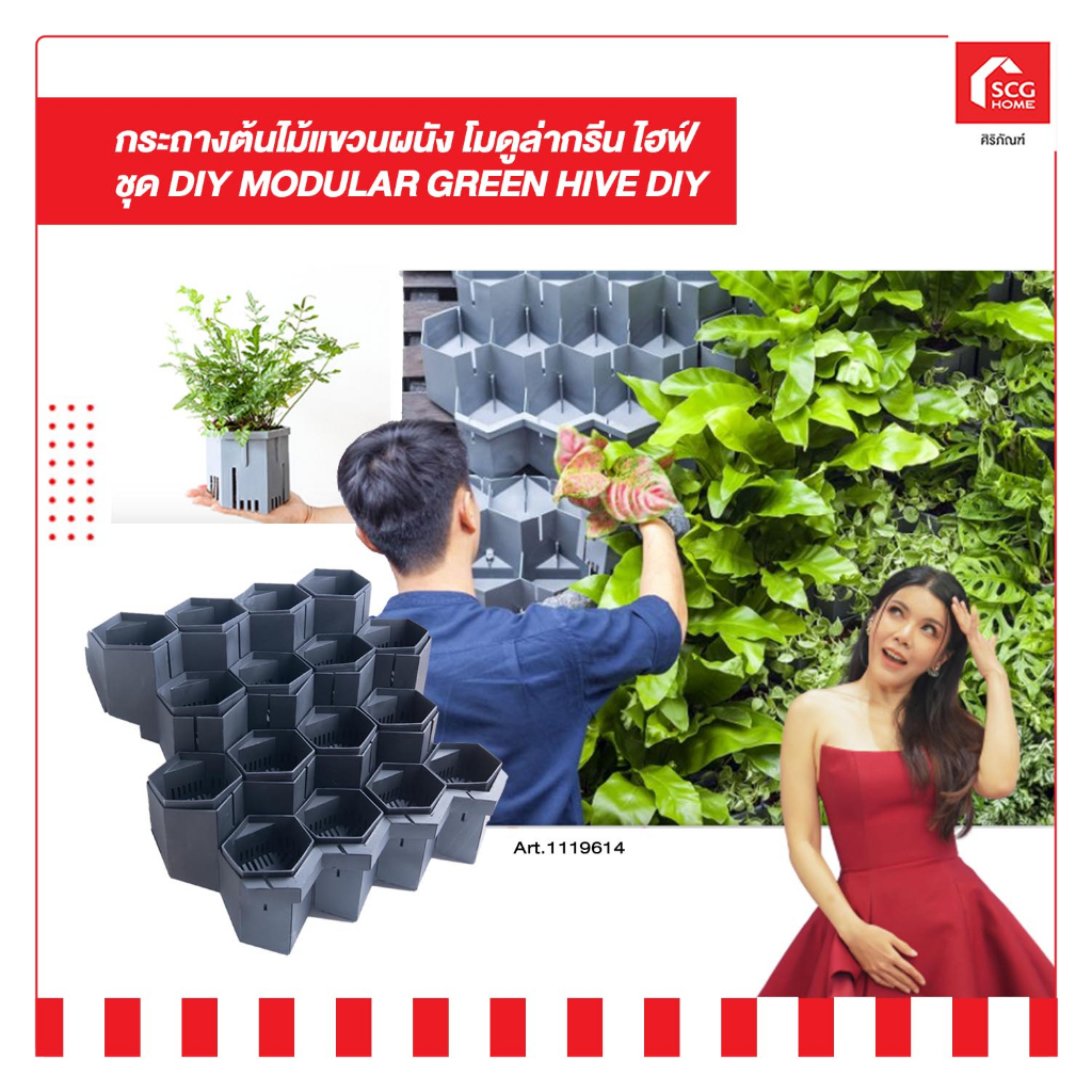 สวนแนวตั้ง รุ่น โมดูล่ากรีน ไฮฟ์ ชุด DIY SCG MODULAR GREEN HIVE (สั่ง ...
