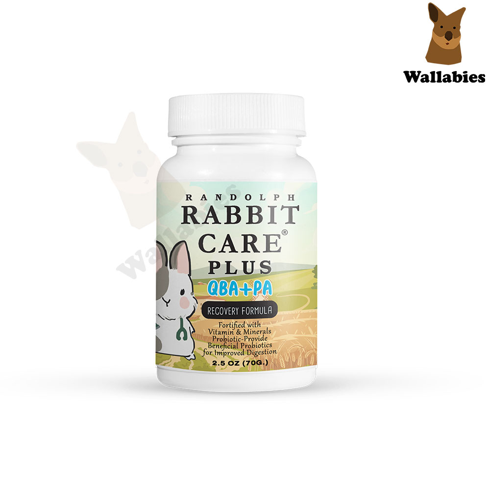 Randolph RABBIT CARE QBA+PA 70g อาหารเสริมพลังงานกระต่ายป่วย สูตร3 QBA ...