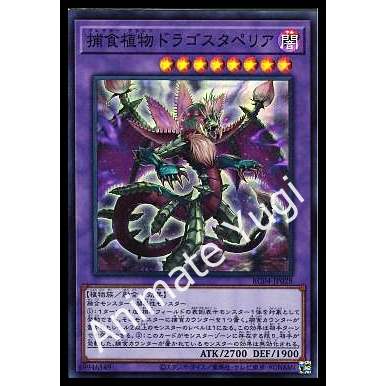 AAA 061 [Yu-Gi-Oh! การ์ดยูกิแท้ yugi ] " RC04-JP028 : Predaplant Dragostapelia " (SR) | Shopee ...