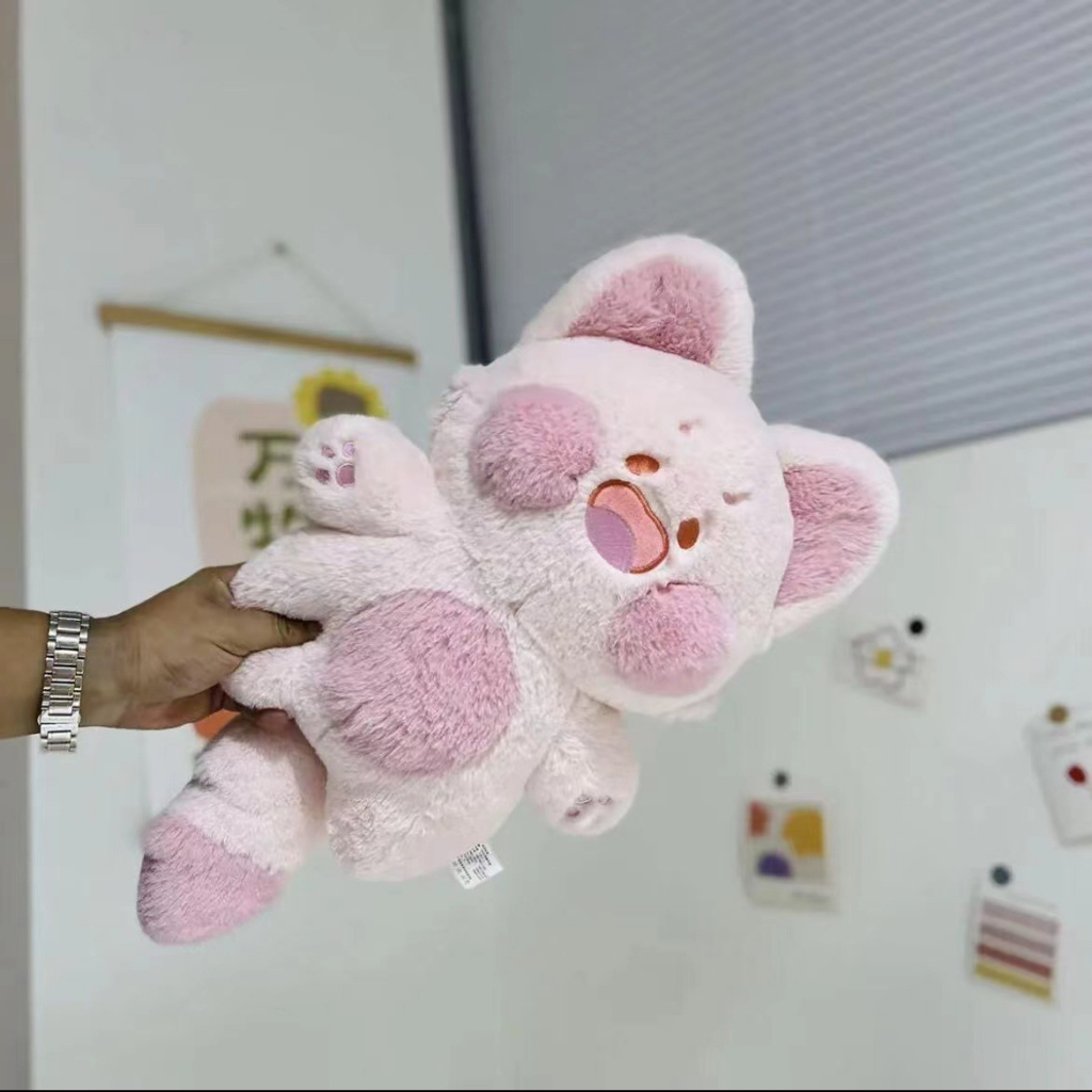 【Swoan】 50 ซม ตุ๊กตาแมวอ้วนตุ้ยนุ้ยแบบใหม่ ช้ในครัวเรือน หมอนข้าง ...