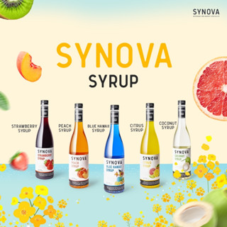 น้ำเชื่อม : SYNOVA Japanese Rice Syrup 830 ml | Shopee Thailand