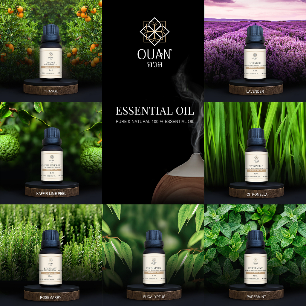 Pure Essential Oil น้ำมันหอมระเหย 100% จัดชุด 7 ชนิดขนาด 15 ml. ราคา ...