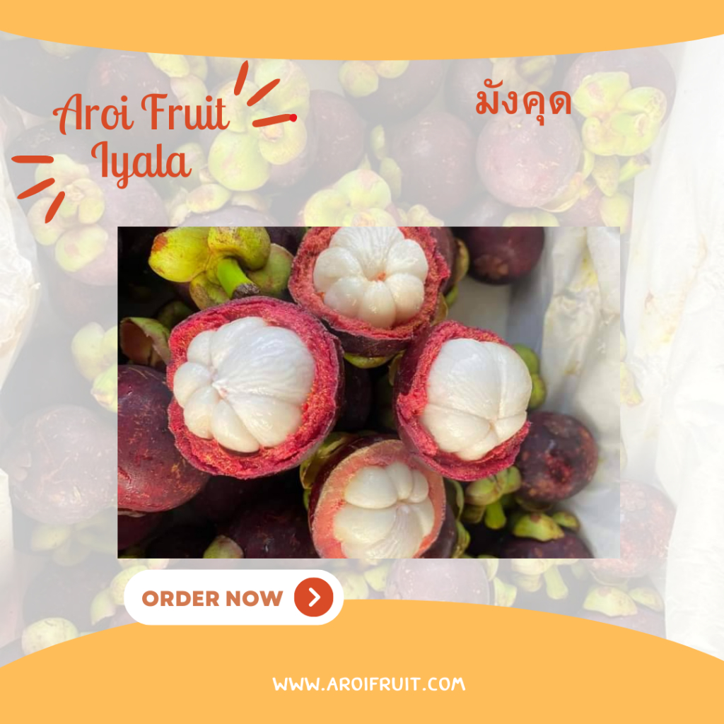 มังคุด ยกกล่อง 20kg. | Shopee Thailand