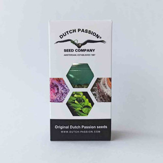 Auto Skywalker Haze Dutch passion 7 autoflowering cannabis seeds เมล็ด ...