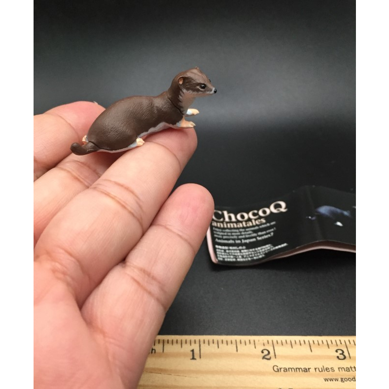 ฟิกเกอร์ สัตว์จิ๋ว สัตว์โลกน่ารัก วีเซล Kaiyodo Animatales Chocoq Choco Q Series 7 Least Weasel ...