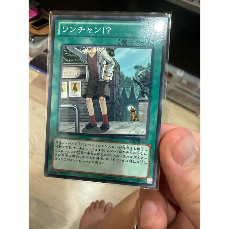 REDU-JP062 - Where Arf Thou? - Common | Shopee Thailand