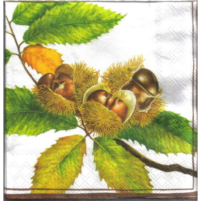 Pladao Napkin ภาพผลไม้ ลูกนัท Chestnut Walnut กระดาษ แนพกิ้น สำหรับงาน ...