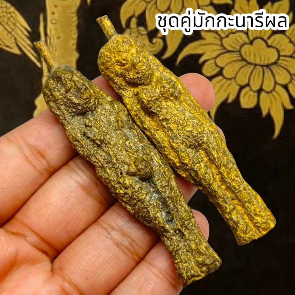 [MSW8]มักกะนารีผล คู่ชายหญิง เป็นเครื่องรางสายเขมรและพม่านิยมมากมีไว้ ...