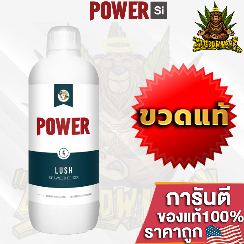 Power Si Lush สารอาหารเข้มข้นสูงจากสารสกัดสาหร่ายทะเลกระตุ้นการเจริญ ...