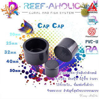 Reef-Aholic, ร้านค้าออนไลน์ | Shopee Thailand