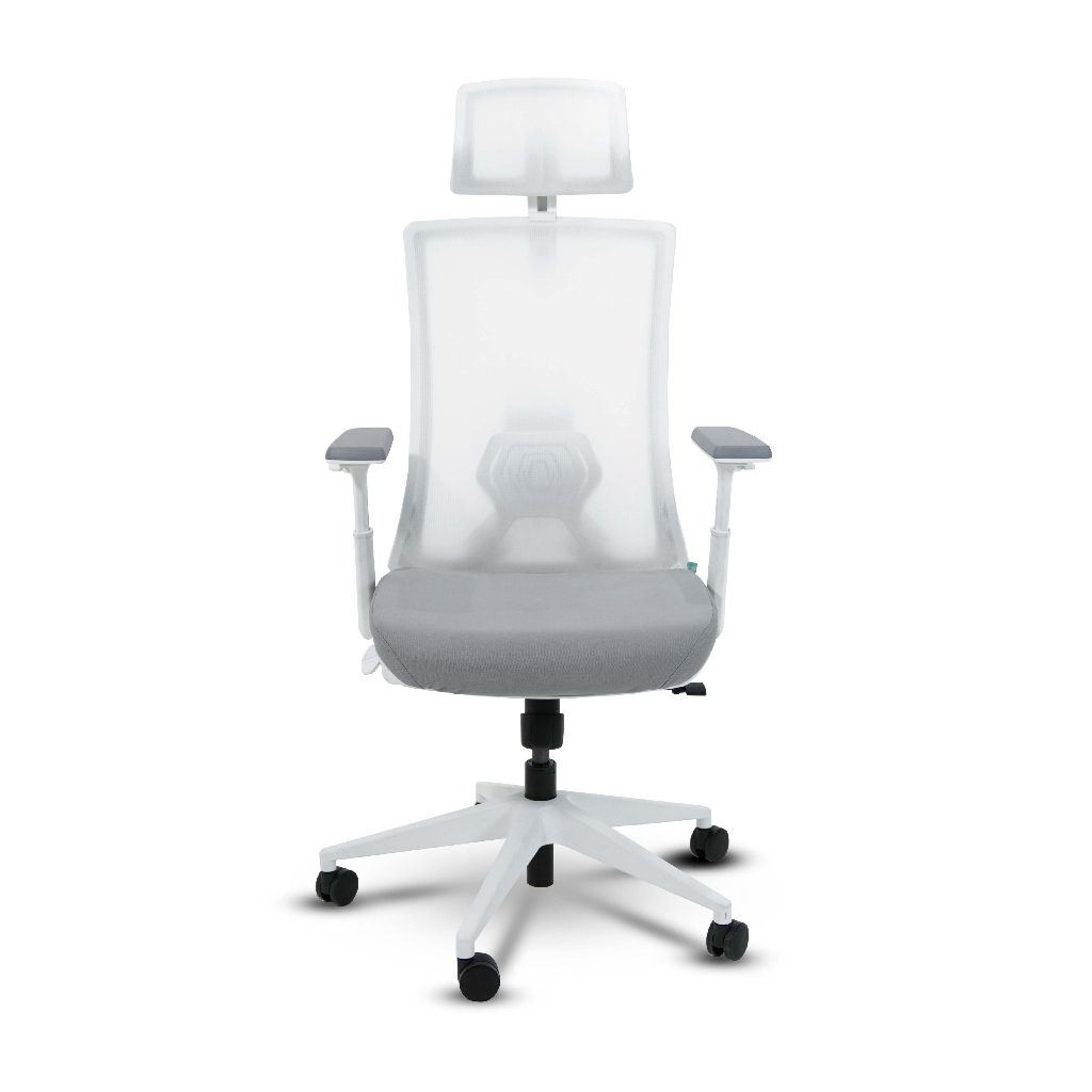 Bewell FROZEN เก้าอี้เพื่อสุขภาพ พนักพิง ICE Mesh เจ้าแรกในไทย คนตัวเล็กนั่งได้ สบายหลัง ...