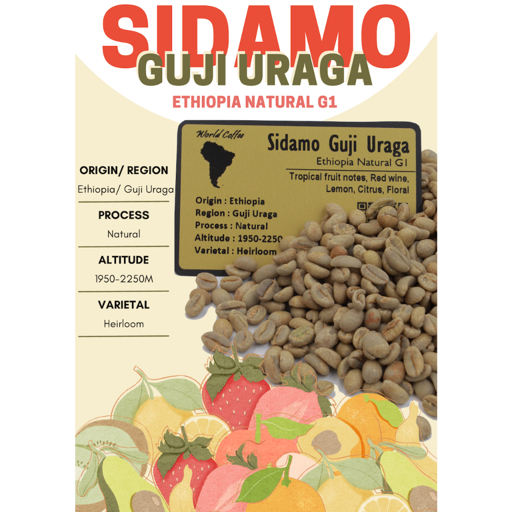 🚚พร้อมส่ง💯 เมล็ดกาแฟดิบ Sidamo Guji Uraga Natural process/ เมล็ดกาแฟนอก ...