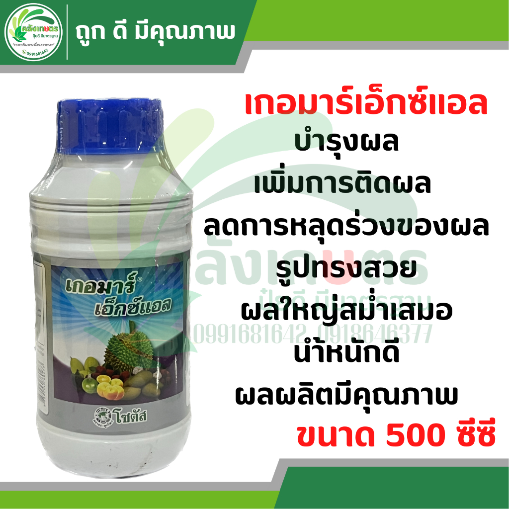 เกอมาร์ เอ็กซ์แอล (Goemar XL) ขนาด 500 ซีซี ตราโซตัส ผลใหญ่ น้ำหนักดี ...