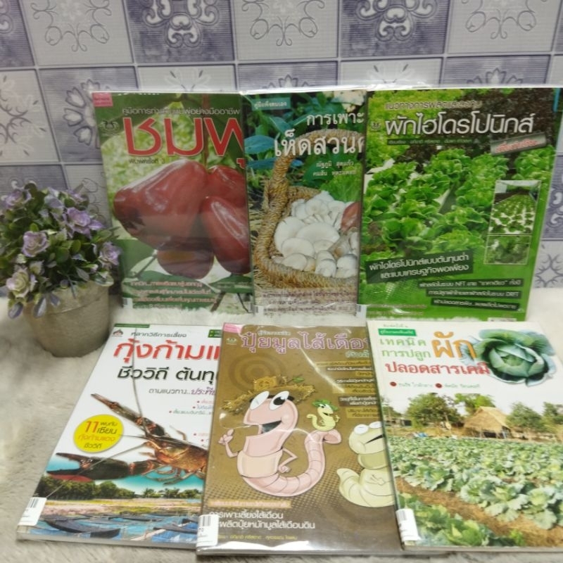 ชมพู่p1166 การเพาะเห็ดp1167 ผักไฮโดรโปนิกส์p1168 ผักปลอดสารp1169 ปุ๋ย ...