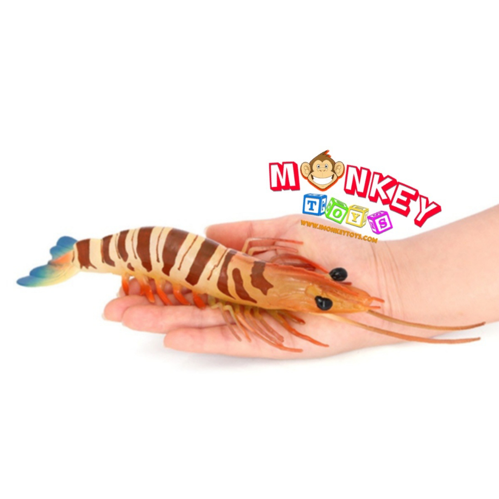 Monkey Toys - โมเดลสัตว์ Prawn กุ้ง ลายเสือ ขนาด 22.50 CM (จากหาดใหญ่ ...