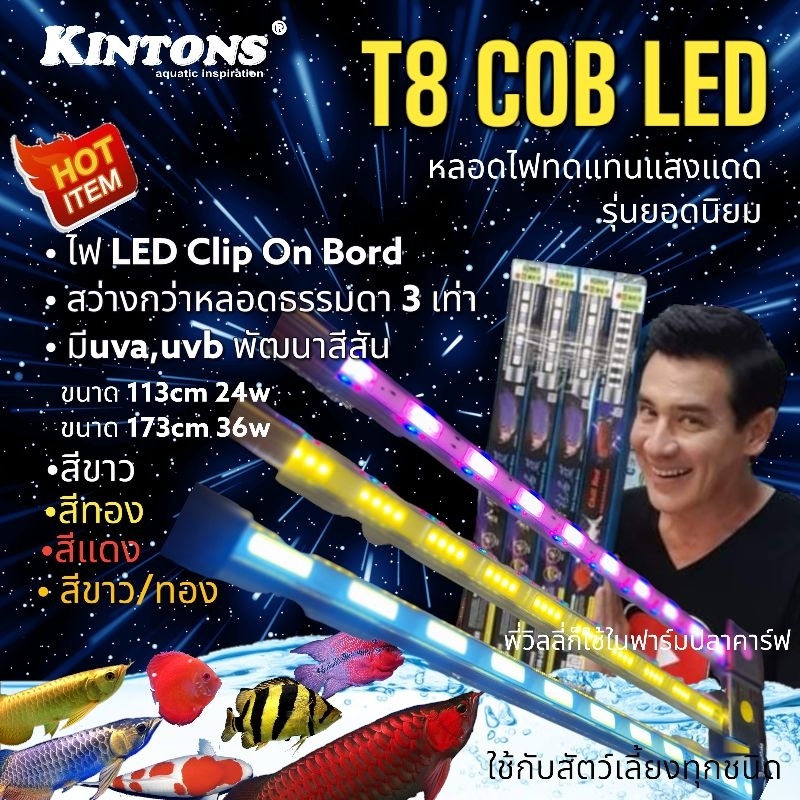 หลอดไฟ Kintons T8 LED COB(Chip On Bord) ให้แสงสว่างมากขึ้น และช่วยพัฒนา ...