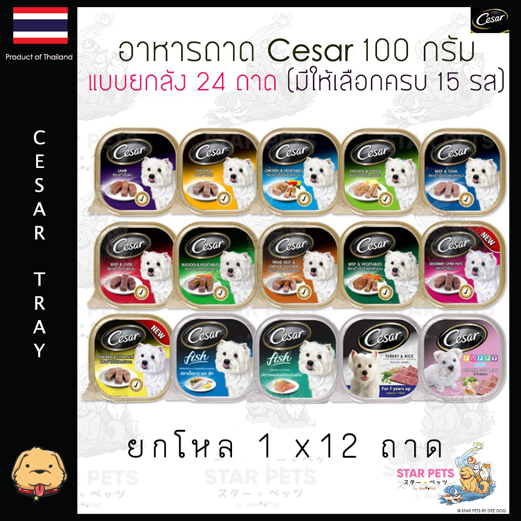 (12ถาด) Cesar ซีซาร์ อาหารสุนัข ขนาด 100กรัม (คละได้) Cesar Tray ...