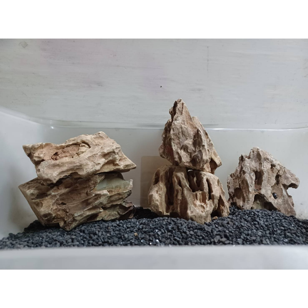 หินดราก้อน คละขนาด 1 กิโล Dragon Stone ราคากิโลกรัมละ 160 | Shopee Thailand