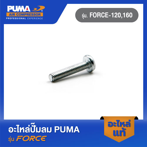 PUMA น็อตกล่องควบคุม อะไหล่ปัั๊มลม รุ่น FORCE-120,160 | Shopee Thailand