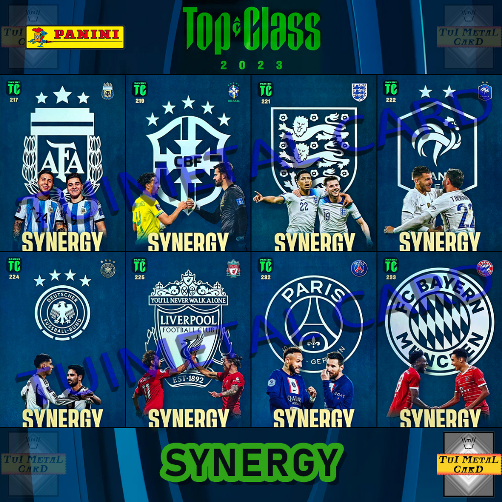 PANINI TOP CLASS 2023: SYNERGY การ์ดสะสมฟุตบอล Football Trading Card ...