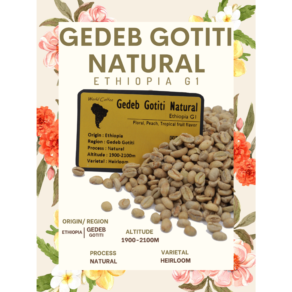 🚚พร้อมส่ง💯เมล็ดกาแฟดิบ Gedeb Gotiti Ethiopia Natural process/ เมล็ดกาแฟ ...