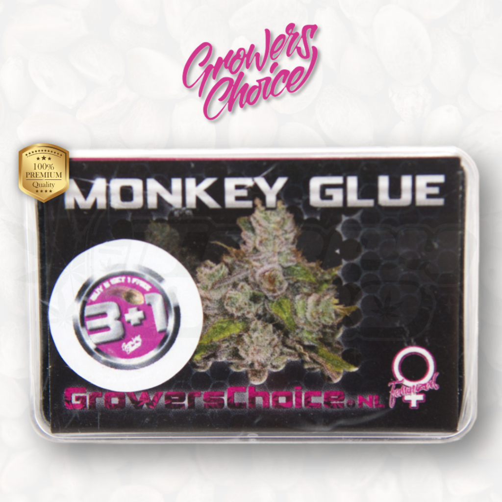 Monkey Glue (Photo) - Growers Choice เมล็ดกัญชา นำเข้าแท้100% เมล็ดเพศ ...
