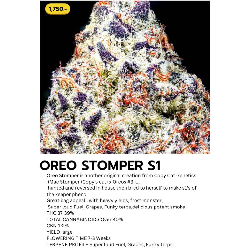 เมล็ดกัญชา ค่าย COPYCAT OREO STOMPER S1 | Shopee Thailand