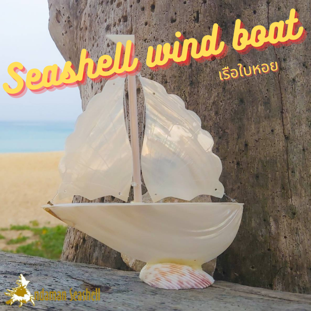 Andaman seashell เรือใบหอยกาบ 2 | Shopee Thailand