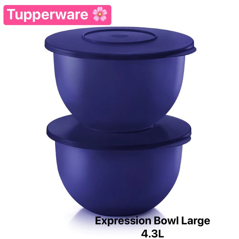 Tupperware รุ่น Expression Bowl Large ขนาด 4.3L | Shopee Thailand