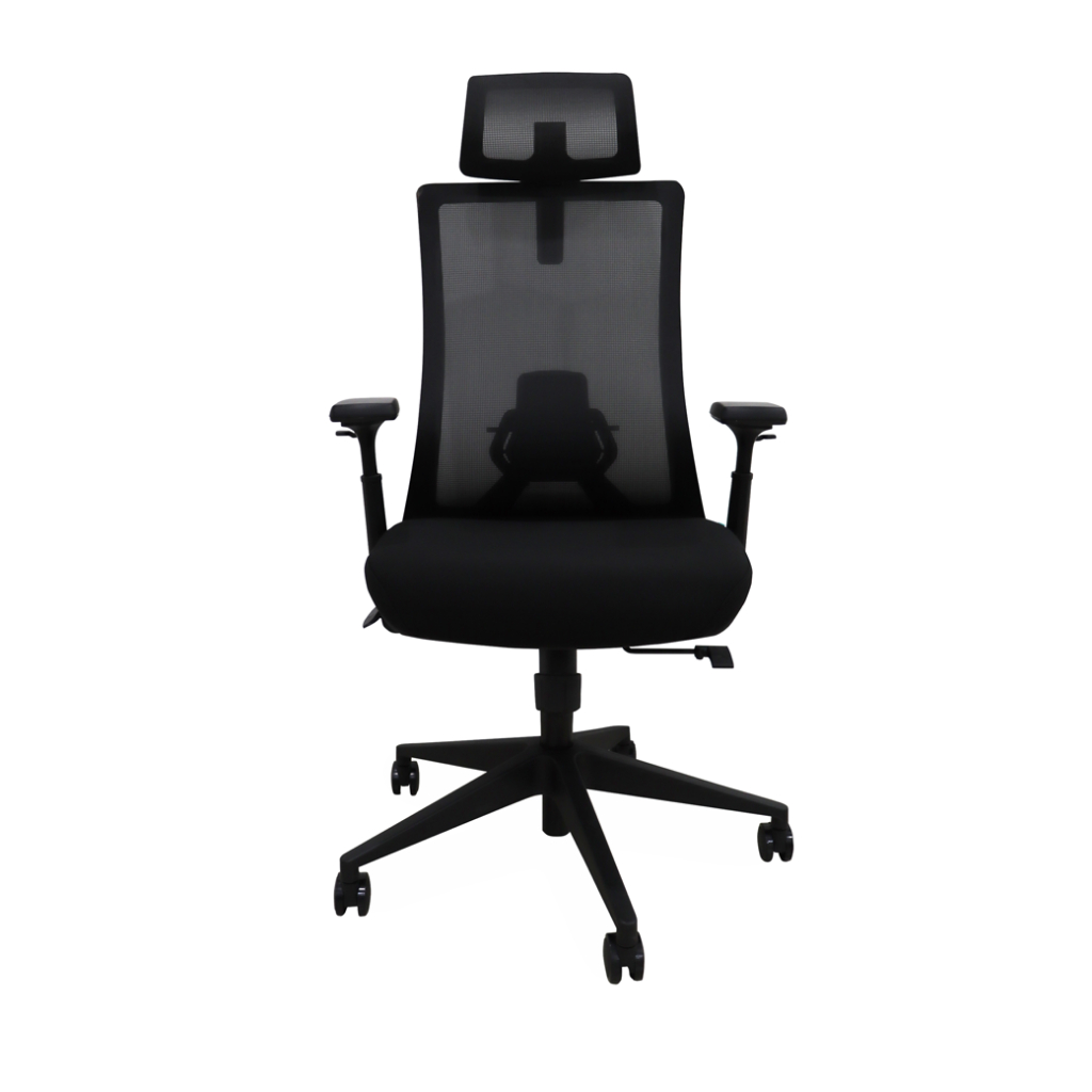 Bewell FROZEN เก้าอี้เพื่อสุขภาพ พนักพิง ICE Mesh เจ้าแรกในไทย คนตัวเล็กนั่งได้ สบายหลัง ...