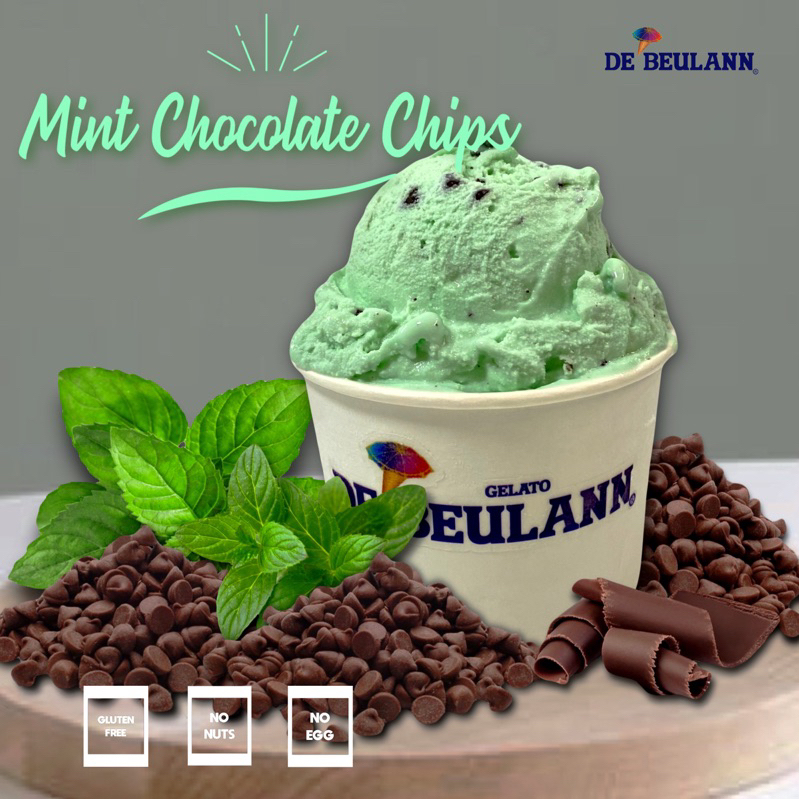 Mint Chocolate Chip [ Premium Classic Gelato Pint 16 oz ] | Shopee Thailand