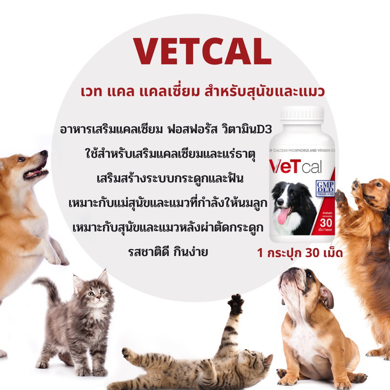 VET Cal - เวท แคล แคลเซี่ยม สำหรับสุนัขและแมว ขนาดบรรจุ 30 เม็ด ...