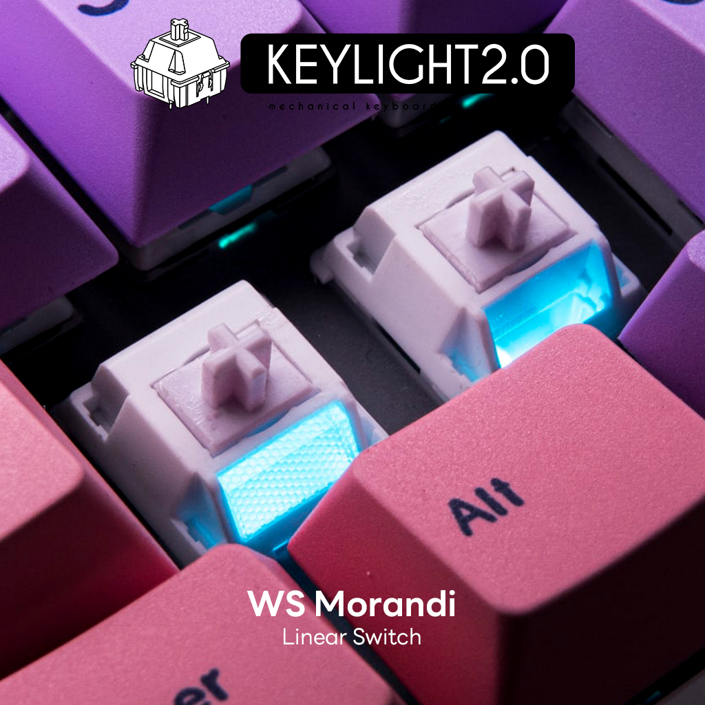 WS Switch Series By Wuque Studio | Factory Lube สวิตช์คีย์บอร์ด (1 ตัว) | Shopee Thailand