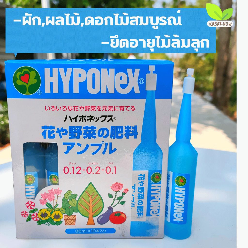 Hyponex ปุ๋ยปัก 1 หลอด แท้ บำรุงต้นไม้ สารให้ความสมบูรณ์แก่พืช Ampoule ปุ๋ยน้ำไฮโพเนกซ์ แอมเพิล ...
