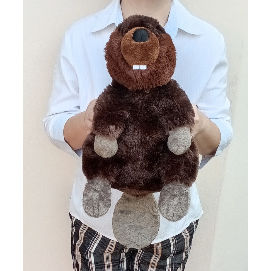 ตุ๊กตาบีเวอร์ งานสัตว์เหมือนจริง Wild Republic Realistic Beaver Plush ...