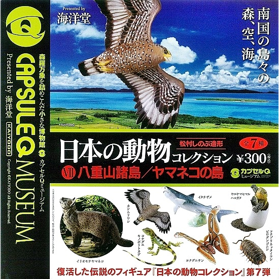 (มีของพร้อมส่ง) Gashapon กาชาปองนกอินทรีย์ แมวอิริโอโมเตะ Animals Of ...