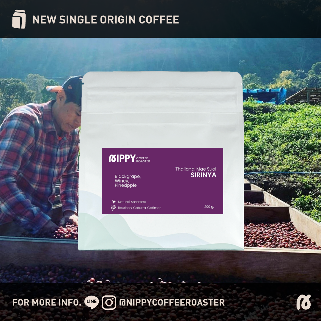 Nippy Coffee Roaster เมล็ดกาแฟคั่ว Sirinya Natural Amarone | Shopee ...