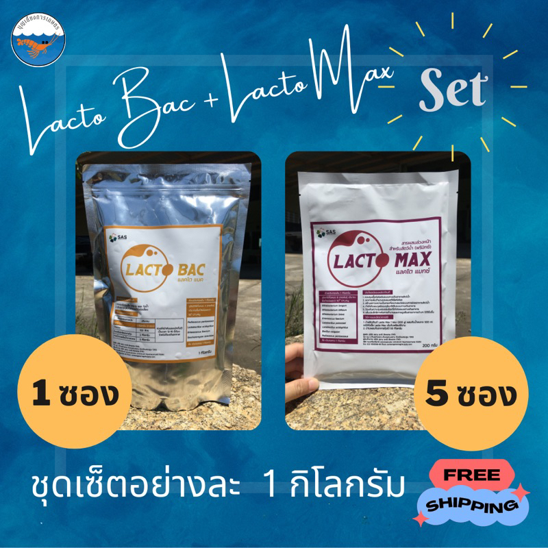 Lacto Bac+Lacto Max ชุดหมักสับปะรด ครบชุด 1 กิโลกรัม | Shopee Thailand
