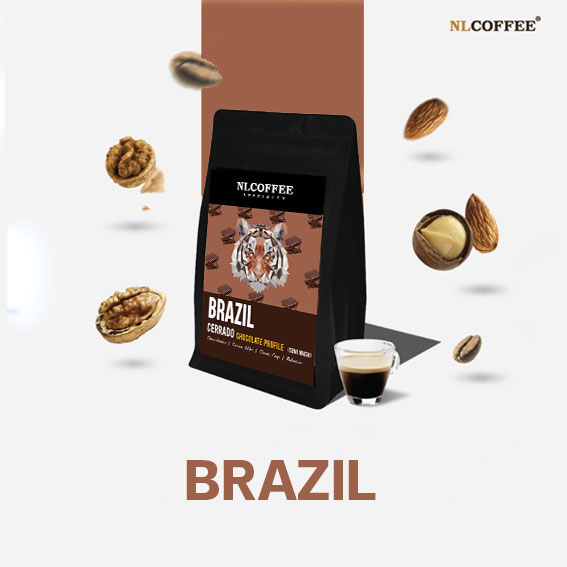 NLCOFFEE SPECIALTY เมล็ดกาแฟ Brazil - Cerrado | Chocolate Profile | Shopee Thailand