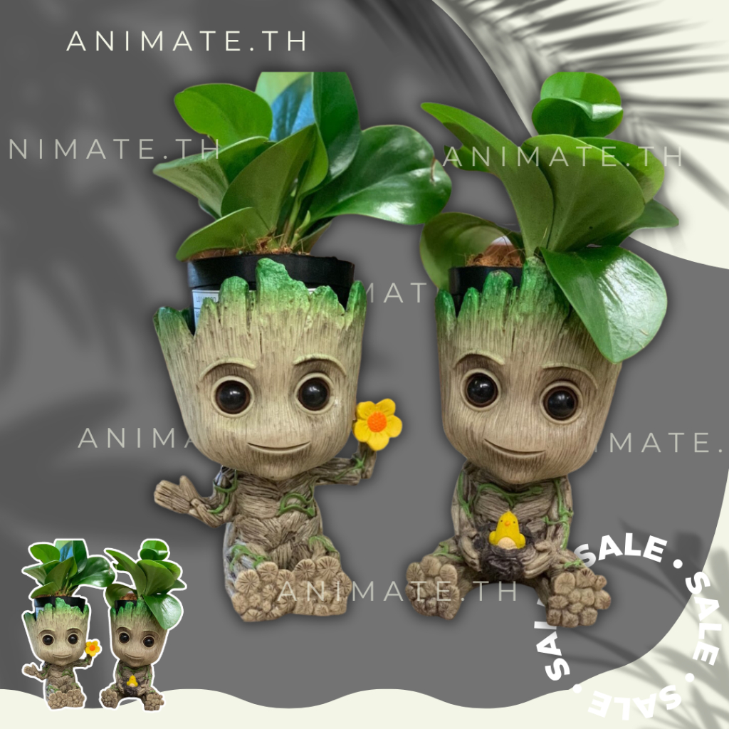 กระถางกรูท baby groot pot flower สูง 15 cm Guardian of The Galaxy พร้อม ...