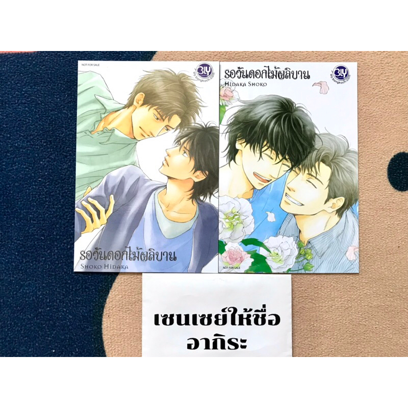 รอวันดอกไม้ผลิบาน/ มิตรภาพและความรัก **เฉพาะการ์ด2Pการ์ตูนวาย ไม่มีตัวเล่ม** #BLY | Shopee Thailand