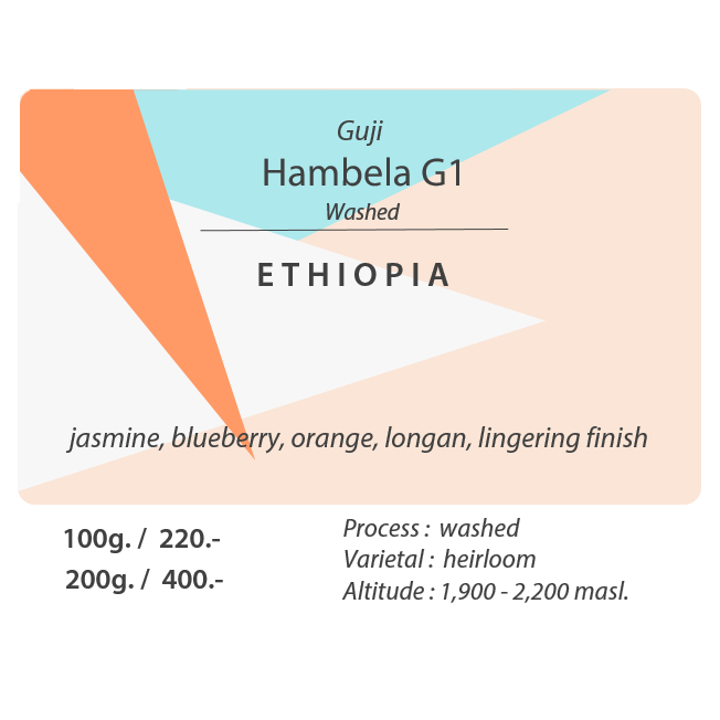 Ethiopia Guji Hambela G1 (Washed) / 100g. / 200g. | Shopee Thailand