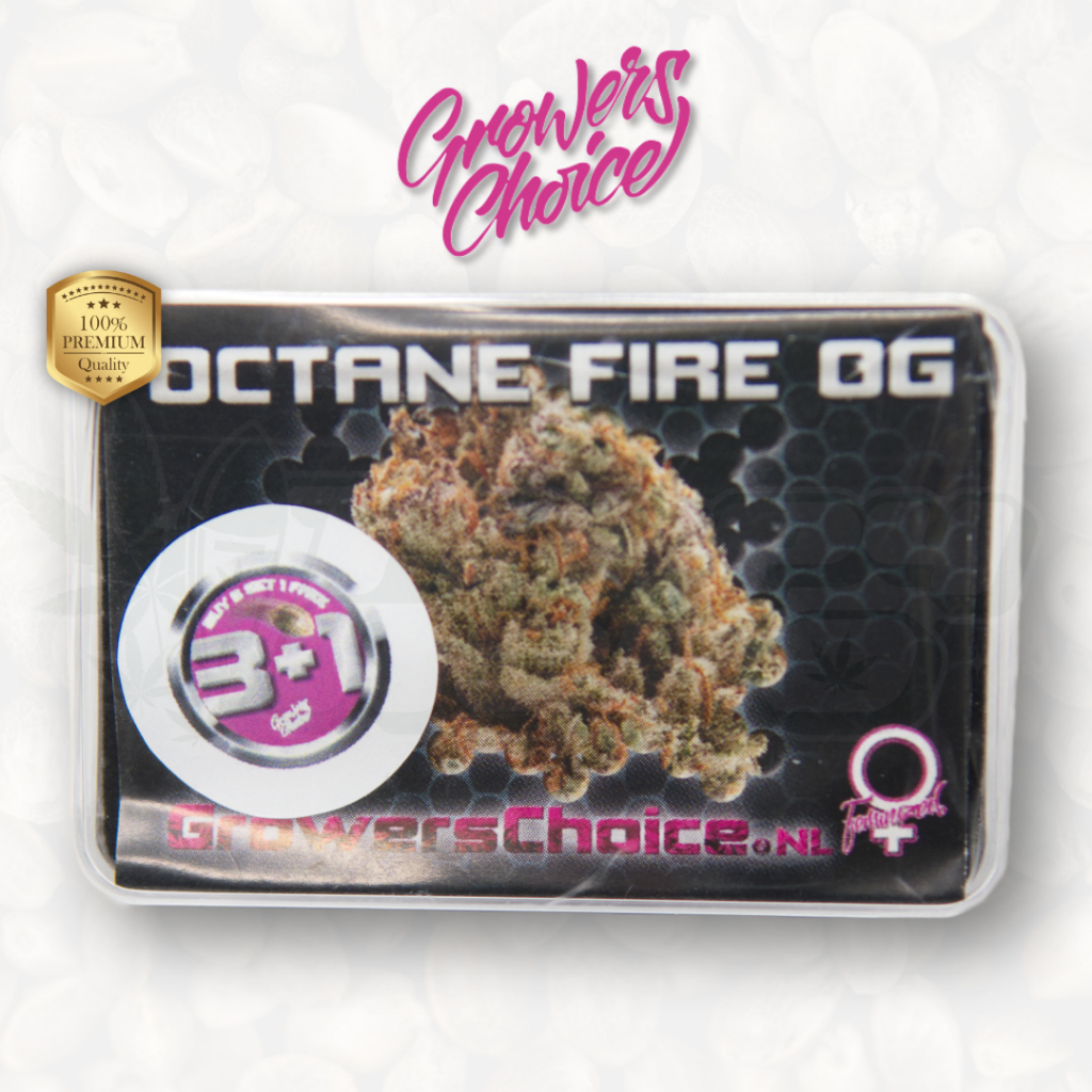 Octane Fire OG (Photo) - Growers Choice เมล็ดกัญชา นำเข้าแท้100% เมล็ด ...