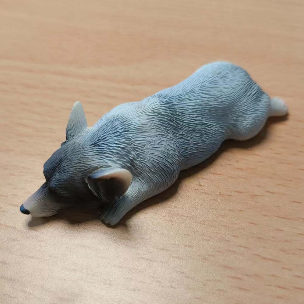 กาชาปองสัตว์ กาชาปอง โมเดล หมา คอร์กี้ สัตว์ Gashapon Corgi cocky dog ...