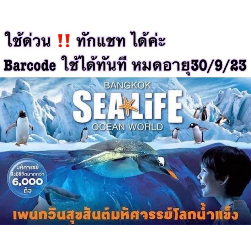 [QRCode/Barcode] บัตรซีไลฟ์ สยามโอเชียลเวิลด์ Sealife Ocean World /Sea ...