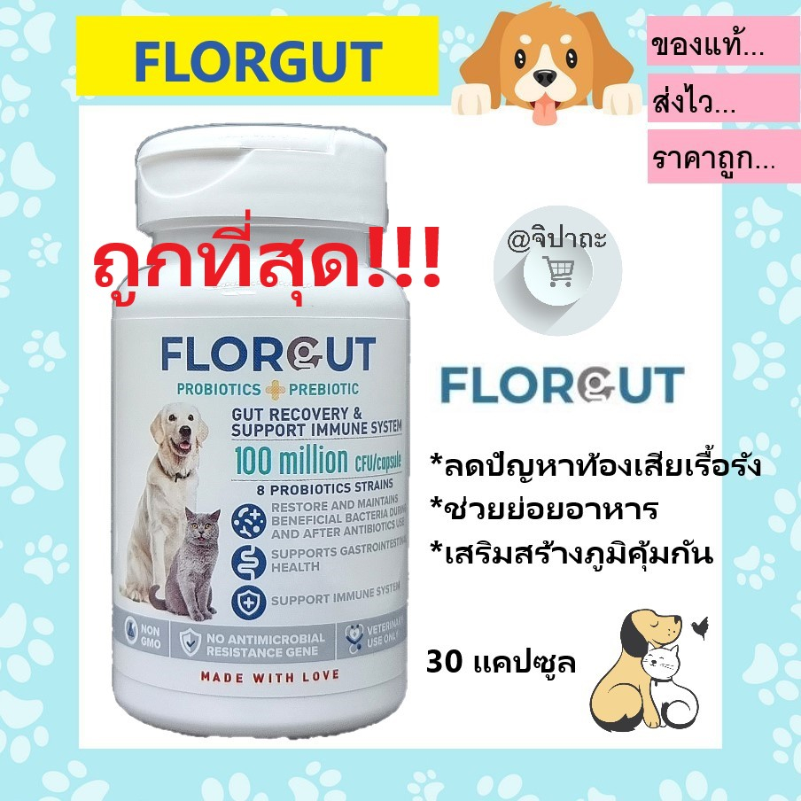ถูกสุด!!! FLORGUT (ไซส์ L) อาหารเสริมโพรไบโอติกส์และพรีไบโอติก ลดปัญหา ...