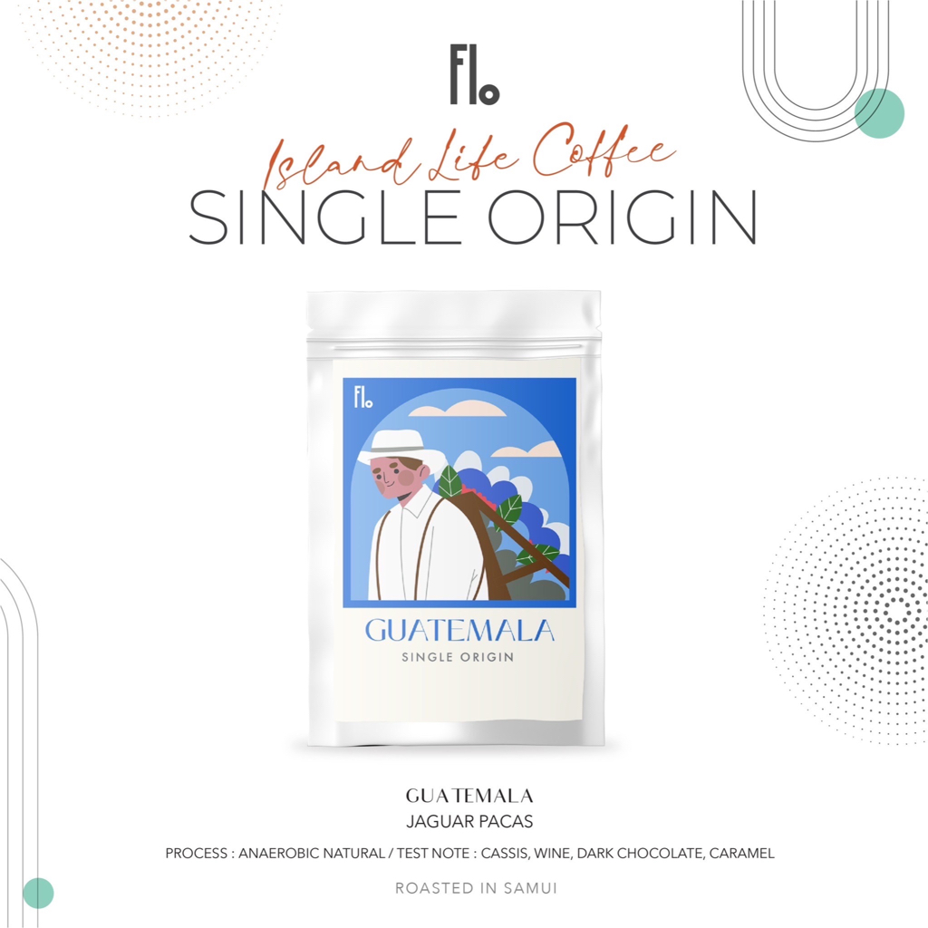 Flo Sigle Origin เมล็ดกาแฟ Guatemala | Shopee Thailand