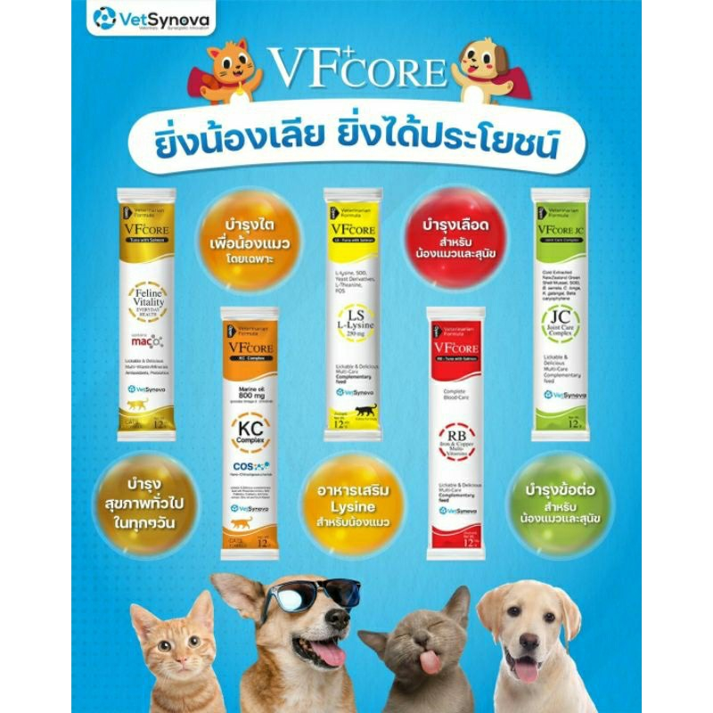 แบ่งขาย 10 ซอง VFcore อาหารเสริมไลซีน บำรุงเลือด บำรุงข้อ เสริมวิตามิน ในรูปแบบขนมแมวเลีย ...