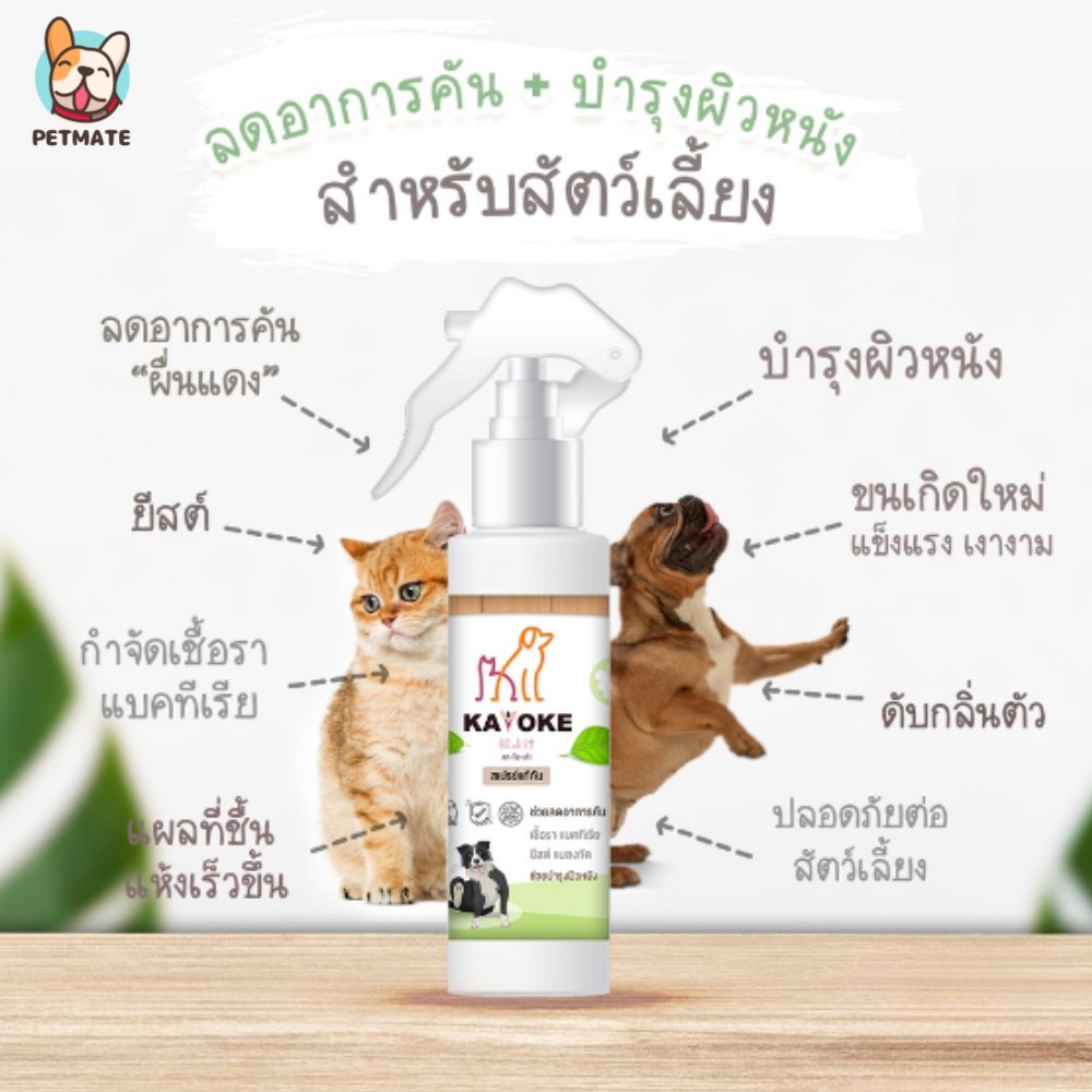 Kayoke สเปรย์ลดอาการคัน พร้อมบำรุขน สูตรอ่อนโยน ใช้สารสกัดจากธรรมชาติ ...